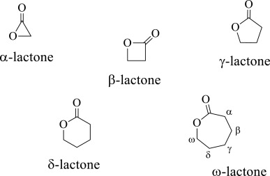 لاكتونات Lactones | مصادر الكيمياء