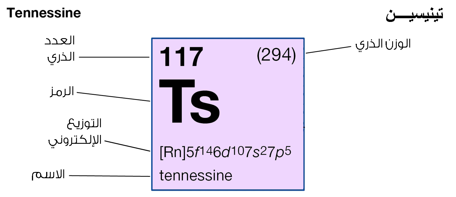 تينيسين (117) Tennessine | مصادر الكيمياء